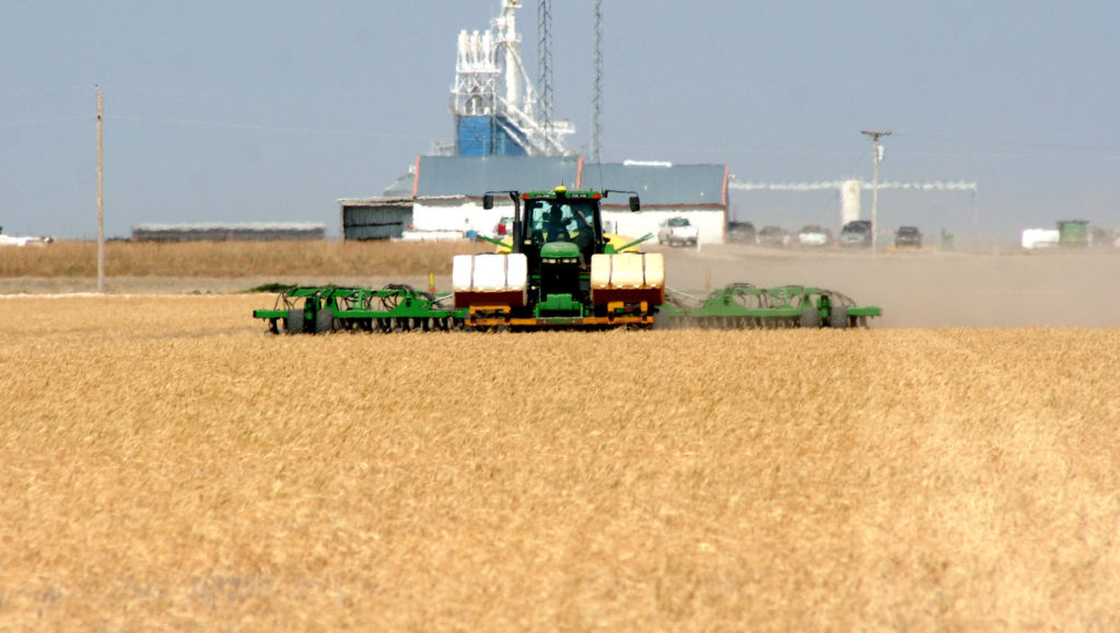 Switchgrass seen as ethanol alternative | News, Sports, Jobs - Lawrence ...